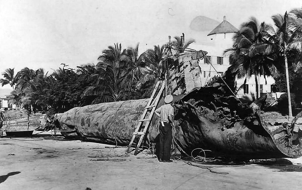 kohyotekiclass-17 – jmodels.net