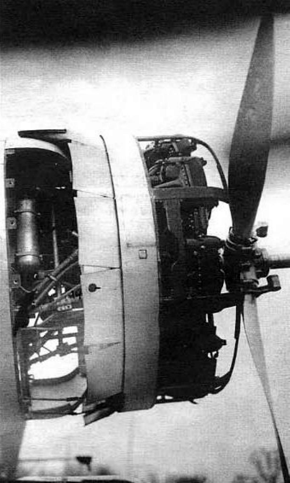 beriev-be4-31 – jmodels.net